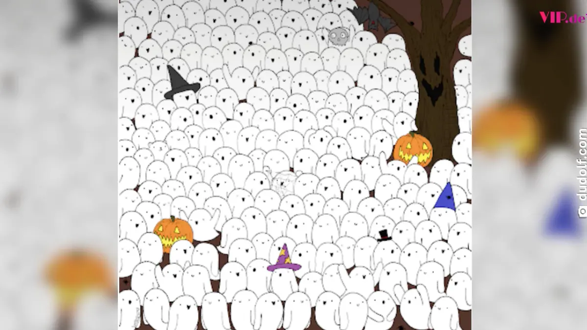Suchbild-Spaß: Drei Zahlen sind gesucht - können Sie sie entdecken?