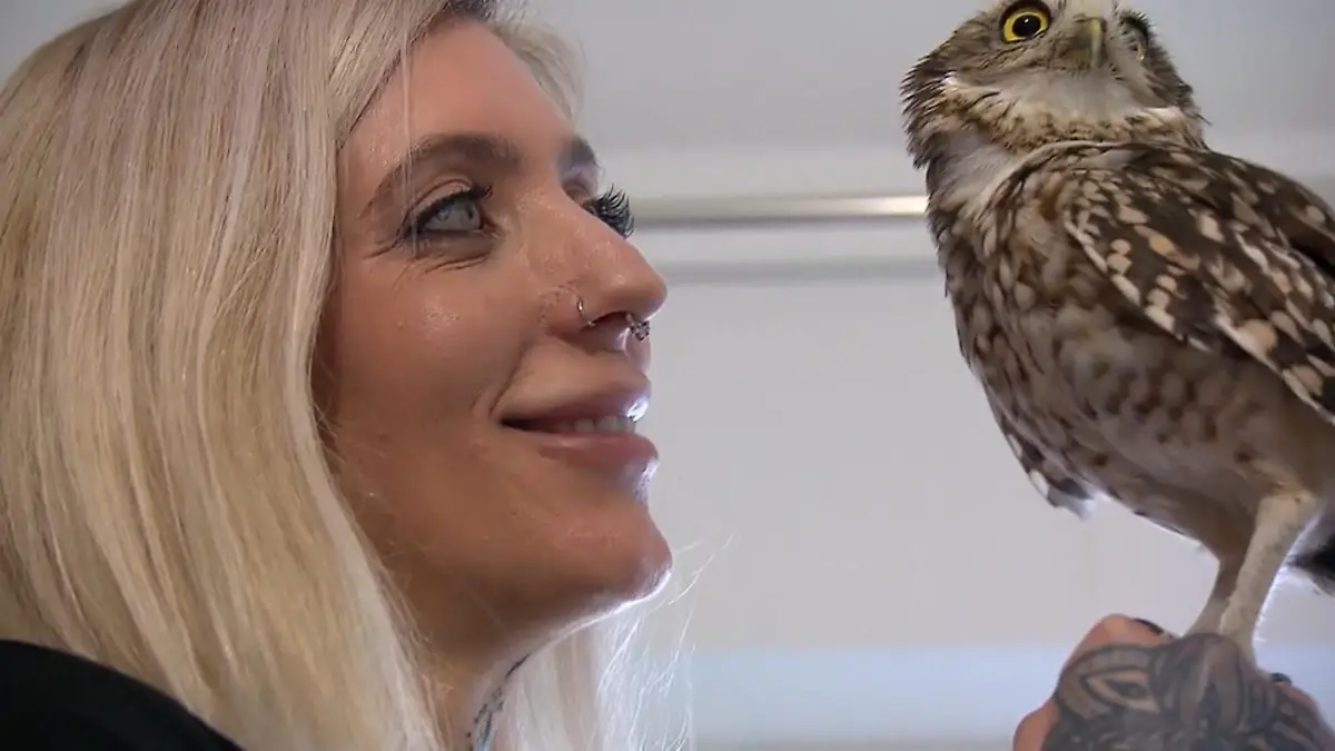 Frau hält Eule als Haustier: Kauz „Karma“ ist ein Flimmerkisten-Fan