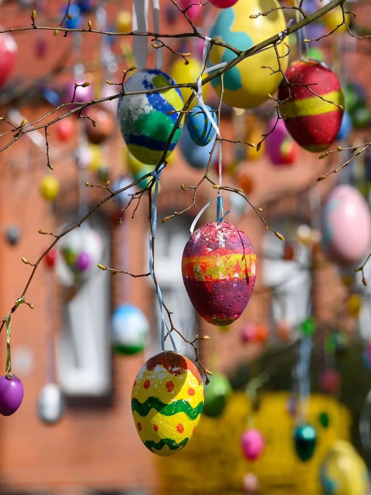 Suchbild zu Ostern: Hier haben sich zehn bemalte Ostereier versteckt ...