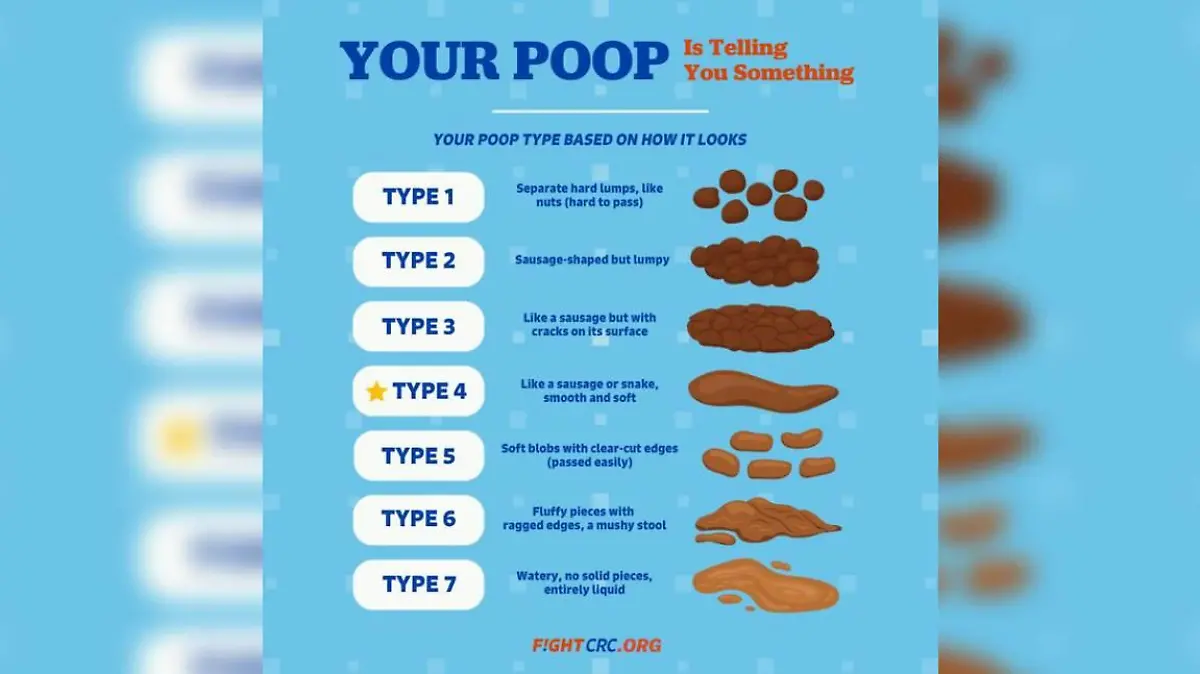 Stuhlgang gelb, schwarz, grün oder weiß? Das verrät die Farbe über die ...