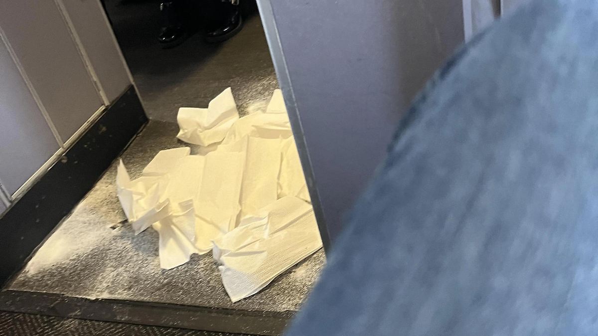 Texas: Hund macht in die erste Klasse - ungeplante Zwischenlandung für ...