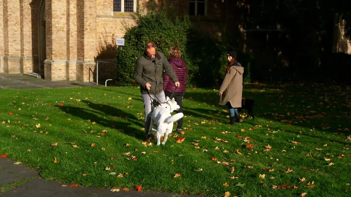 Erstes Treffen: Wird die Schäferhündin einen zweiten Hund dulden?