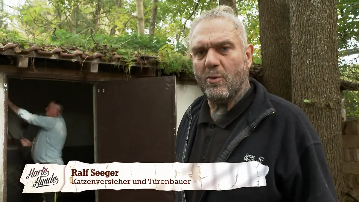 Harte Hunde: Großer Katzenjammer wegen Wasserschaden