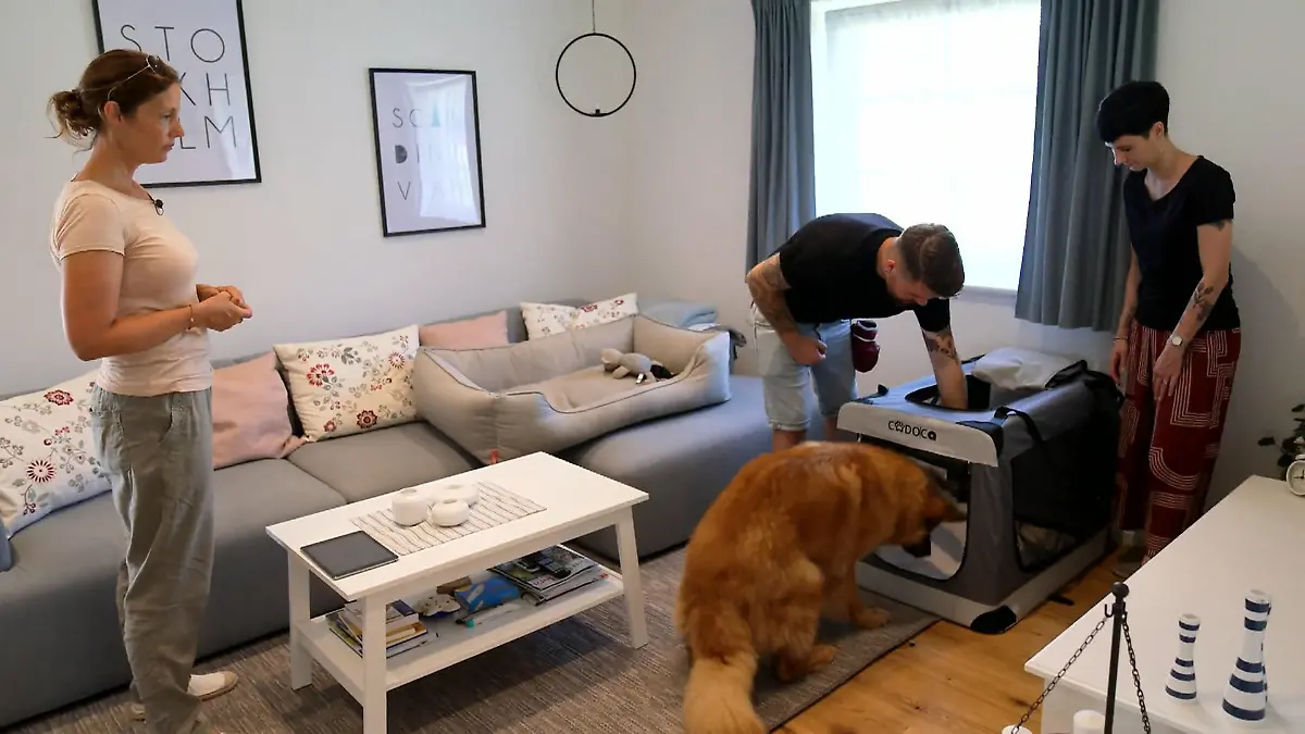 Schutzmaßnahme: Neue Aufgabe für Taliska - Ab in die Box