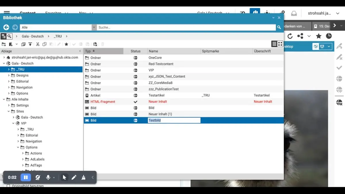 Suchbild-Spaß: Drei Zahlen sind gesucht - können Sie sie entdecken?