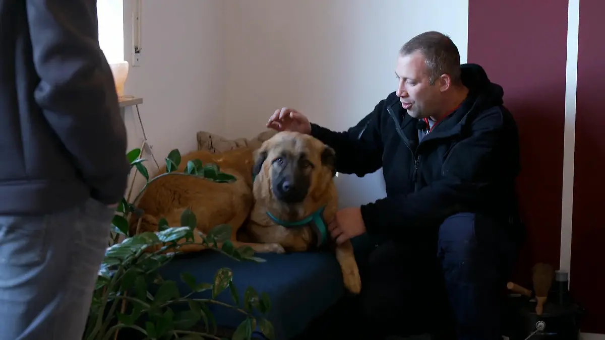 Große Aufregung: Calitos Ankunft im neuen Zuhause