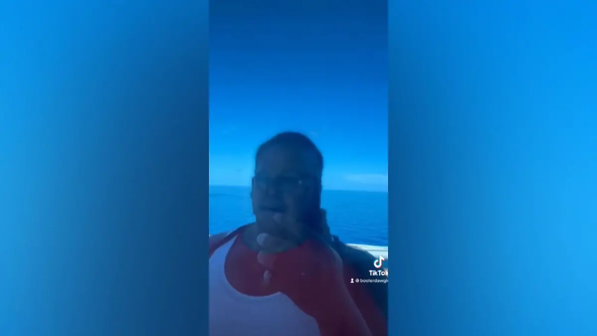 Suchbild zu Ostern: Hier haben sich zehn bemalte Ostereier versteckt ...