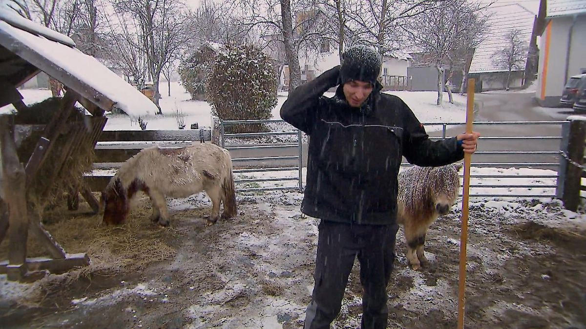Kommt er aus sich raus?: Patrick ist in Katrins Gegenwart ganz schön nervös