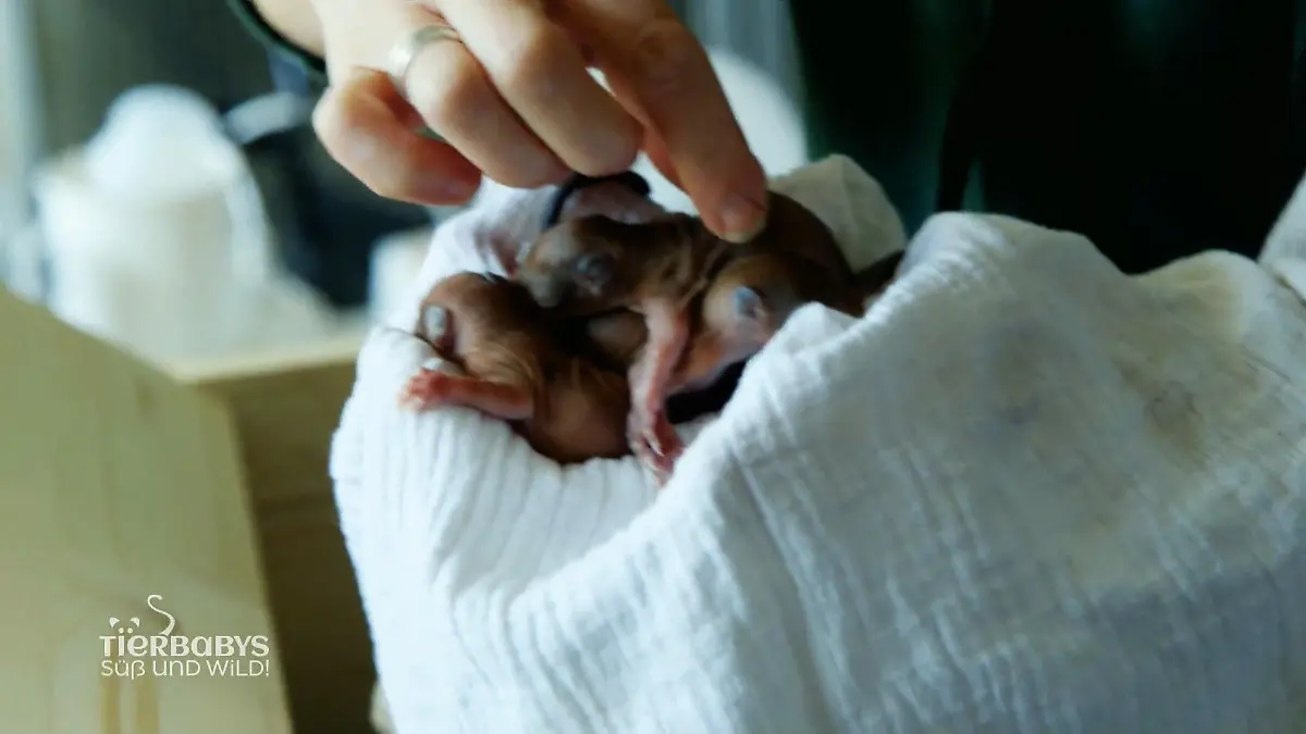 Erfahrene Retterin: Tanja weiß, was zu tun ist