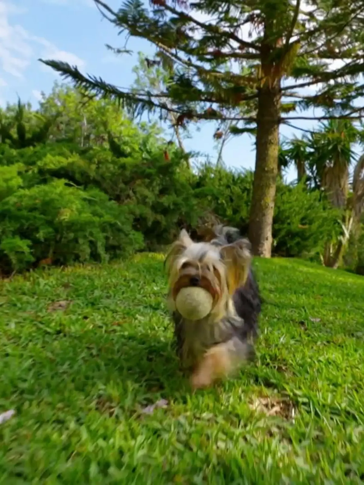 Nach Verlust des Mannes: Csilla ist für Anke eine echte Seelentrösterin