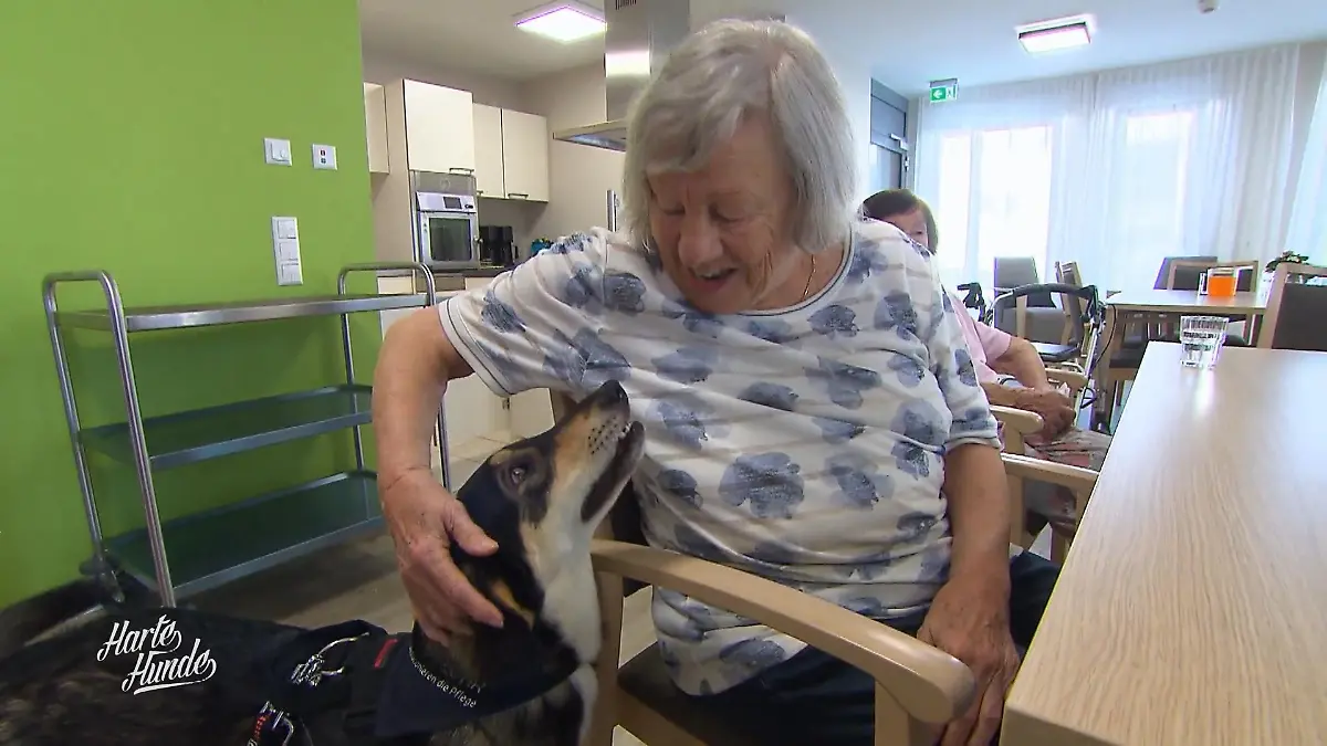 Harte Hunde: So viel Liebe und Freude verbreitet Hündin Elvi im ...
