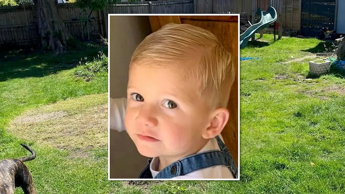 Seltene Krankheit Pica-Syndrom: Vinnie (3) isst Steine und Tapete - und ...