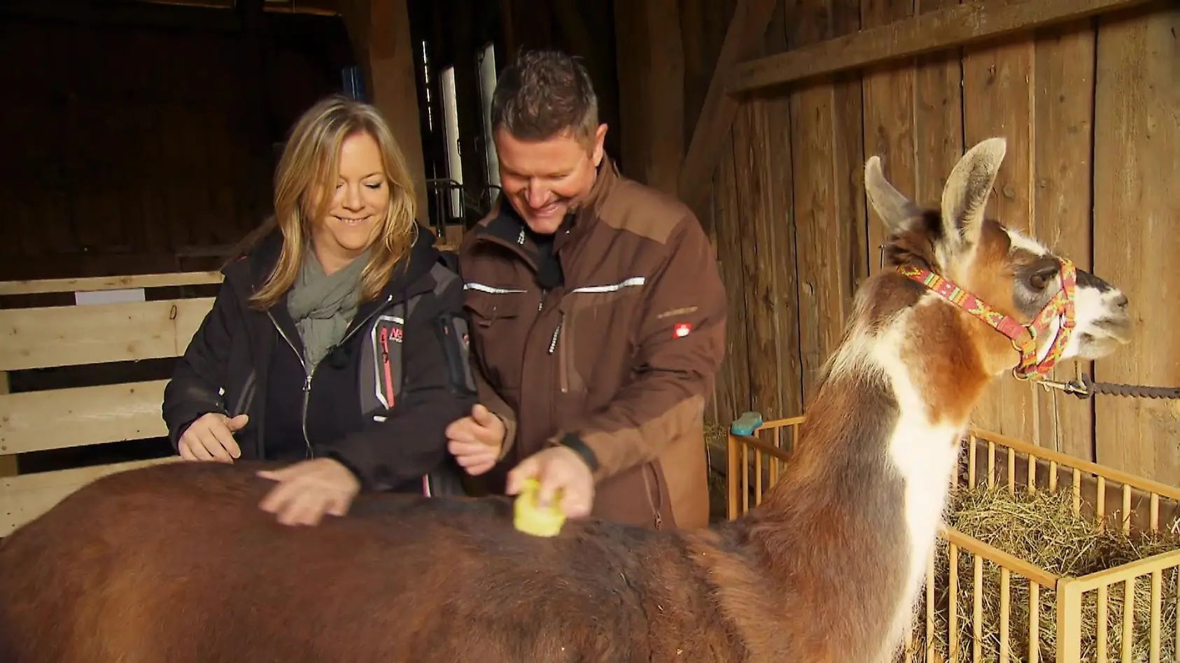 Sie lieben Tiere: Sabine & Henry haben eine gemeinsame Leidenschaft