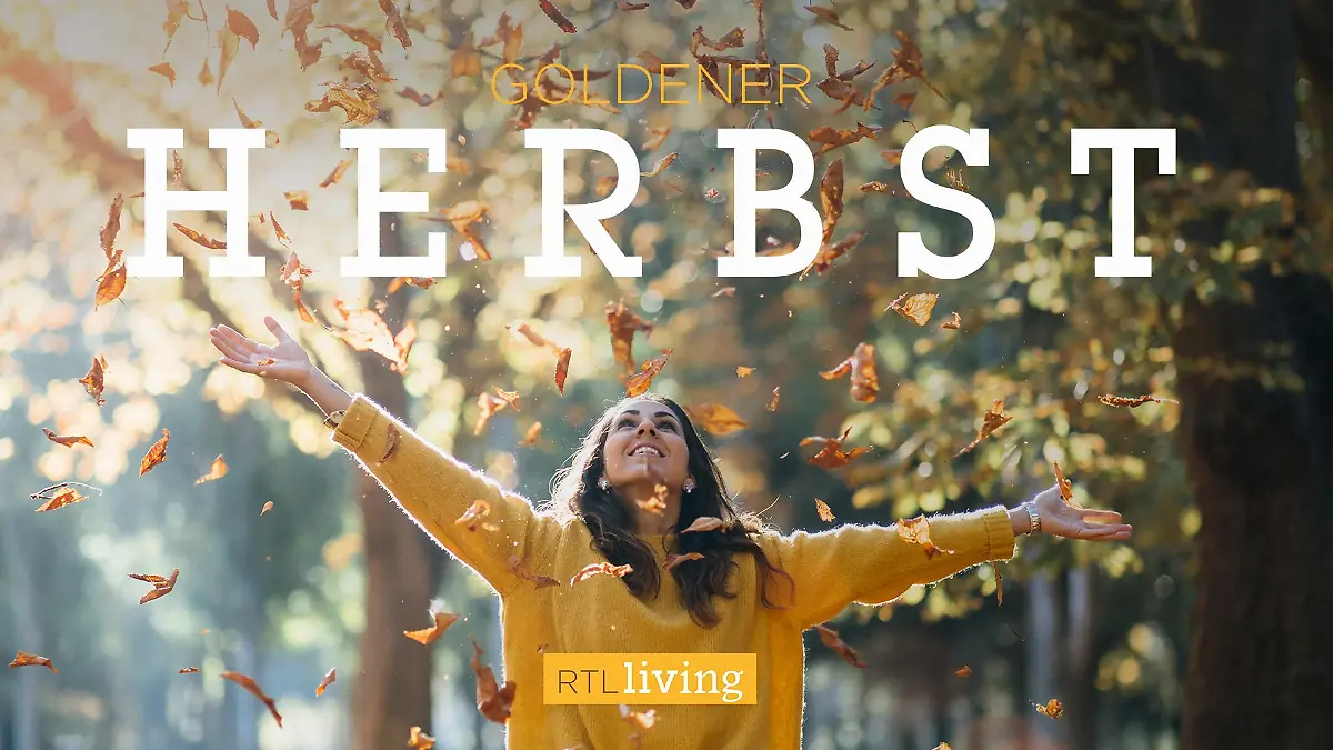 Unsere Herbst-Highlights: Goldene Zeiten