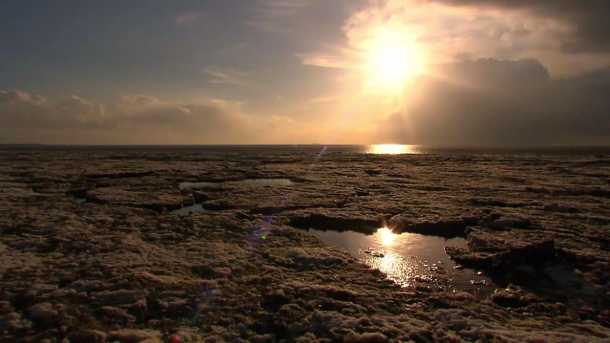 GEO: Loop: Ostfriesland Loop