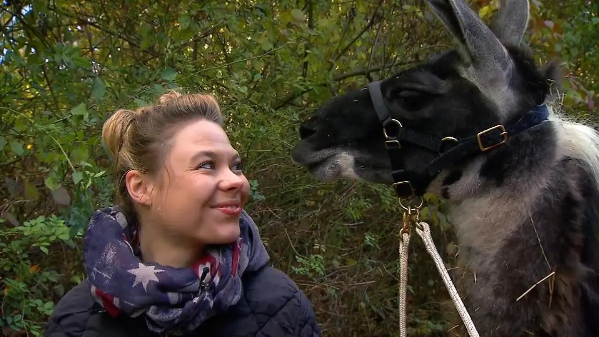 Gegen die Auftrittsangst: Schauspielerin Dominique braucht Lama-Hilfe