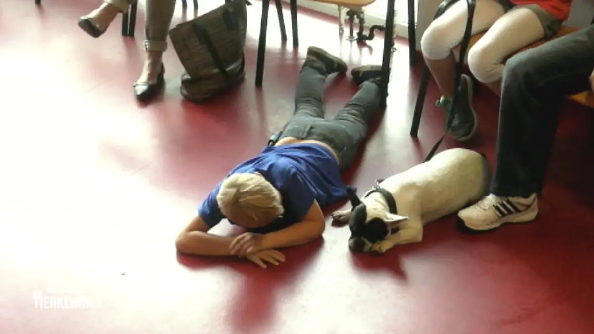 Französiche Bulldogge: Familie Witt macht sich Sorgen um Hündin Alina