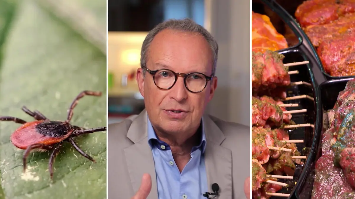 Canadian woman dies after being bitten by bat - World Today Journal