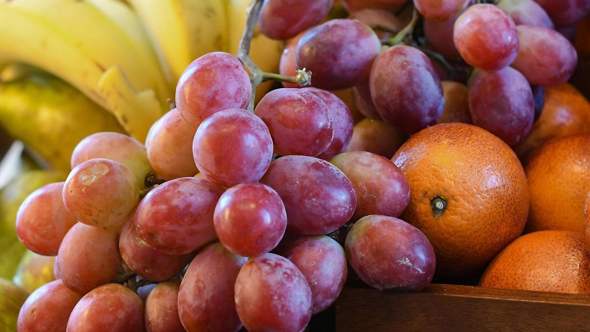 Obst: Alle News & Infos