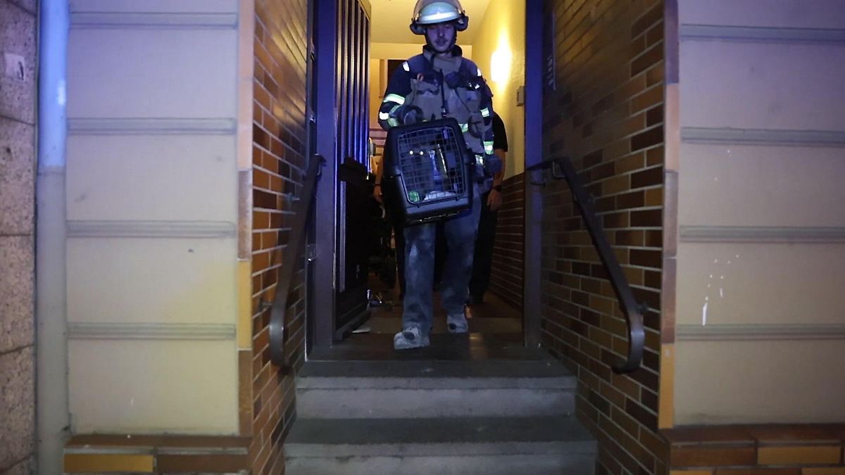Essen: Feuerwehr versucht sieben Stunden lang das Tier zu retten