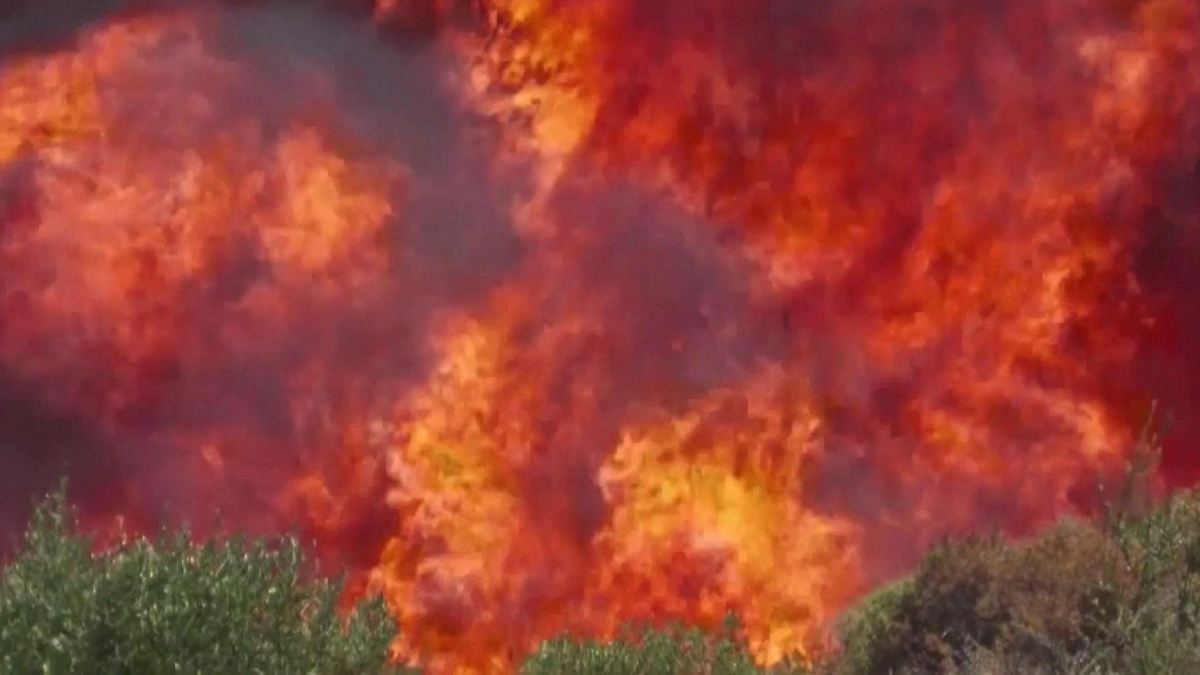 Feuer im Urlaubsparadies!: Touristen fliehen auf Kos vor Waldbränden