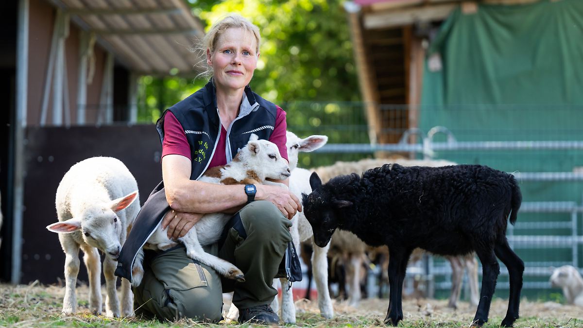 Uelzen: Sabine Bracker rettet auf ihrem Gnadenhof Tiere in Not – jetzt ...