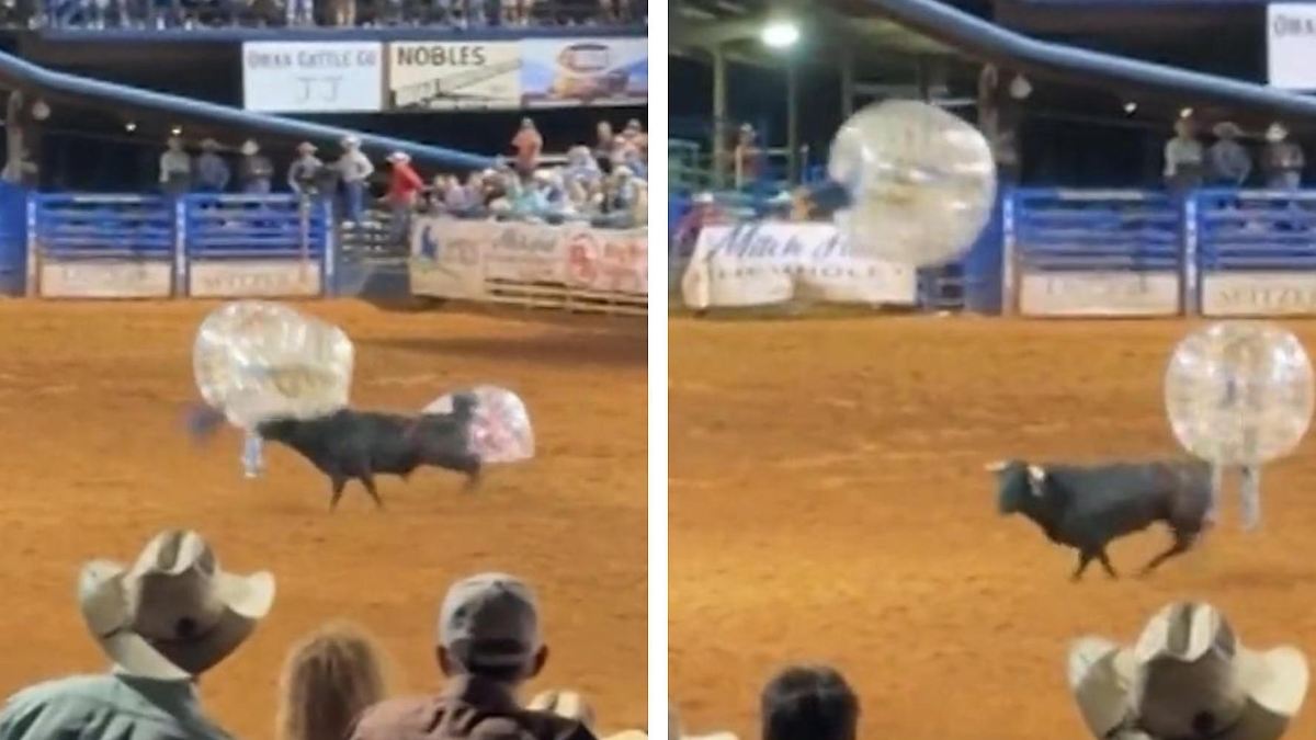 Rodeo-Teilnehmerin in Bubble-Anzug wird durch die Luft geschleudert!