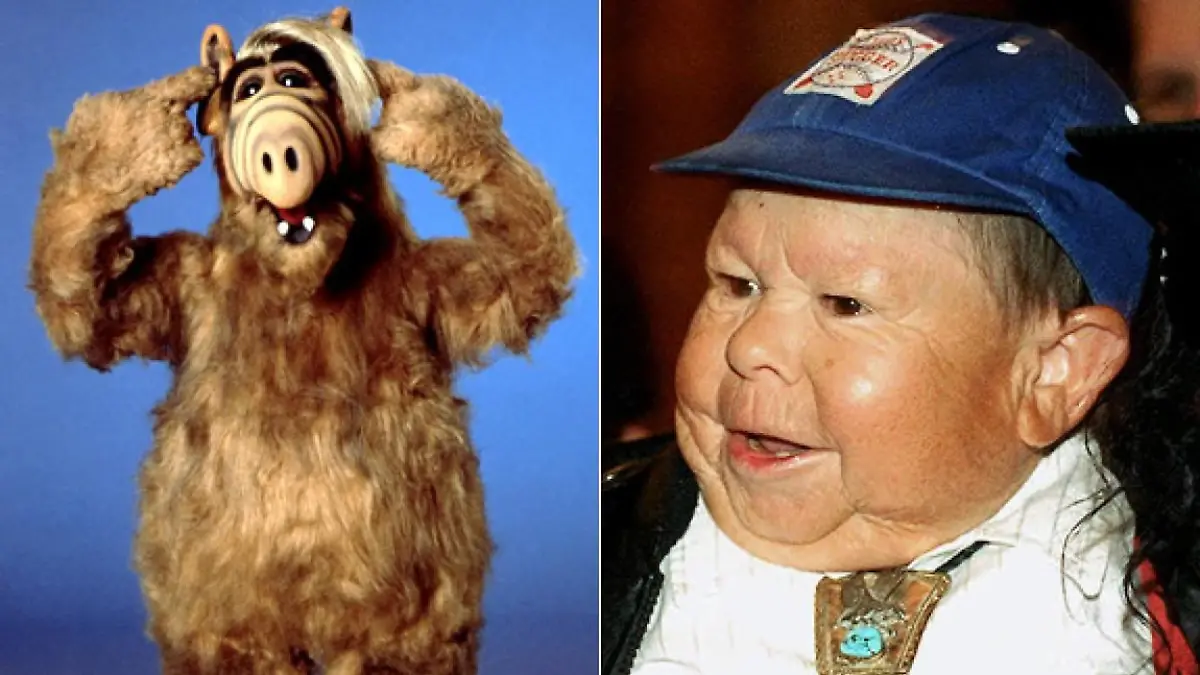 „Alf”-Fluch: Benji Gregori, Max Wright und Co. - das wurde aus den ...