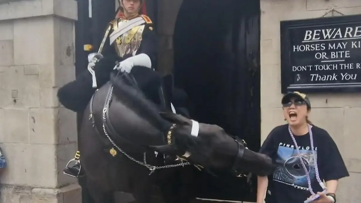 Queen Elizabeth II.: Leichenwagen mit Blumensträußen übersät