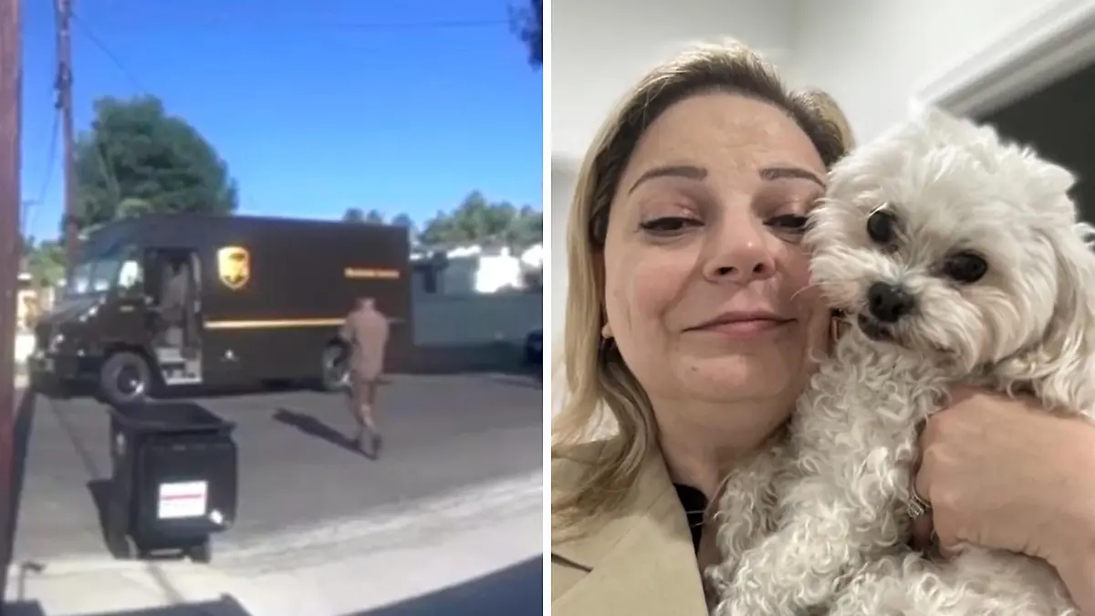 Paket-Drama! Bote wirft 25-Kilo-Lieferung über Zaun und erschlägt ...