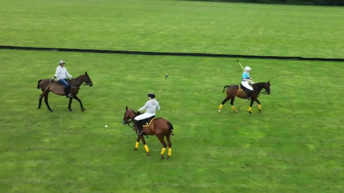 Münster: Vorbereitungen für „Polo-Picknick“ - Training mit Reality-Star ...