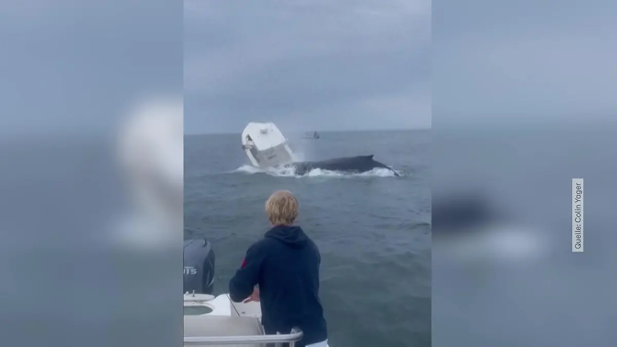 Italien: Vater stirbt im Comer See, weil er Sohn aus dem Wasser retten ...