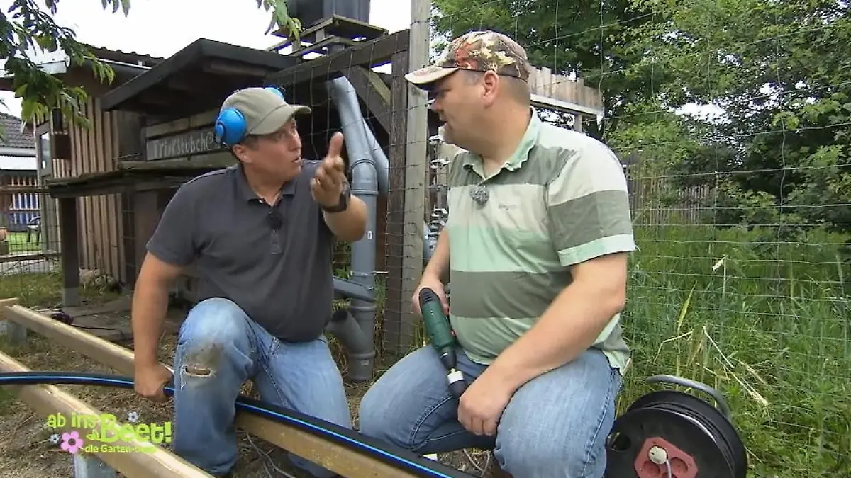 Der Bit in der "Schiene": Der "Chicken-Train" verlangt viele Opfer