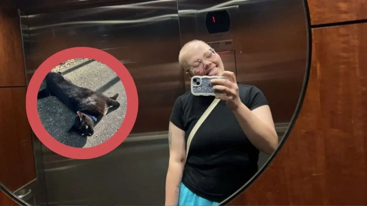 Schockdiagnose: Doch Katzenbiss rettet Emily Falk (25) das Leben