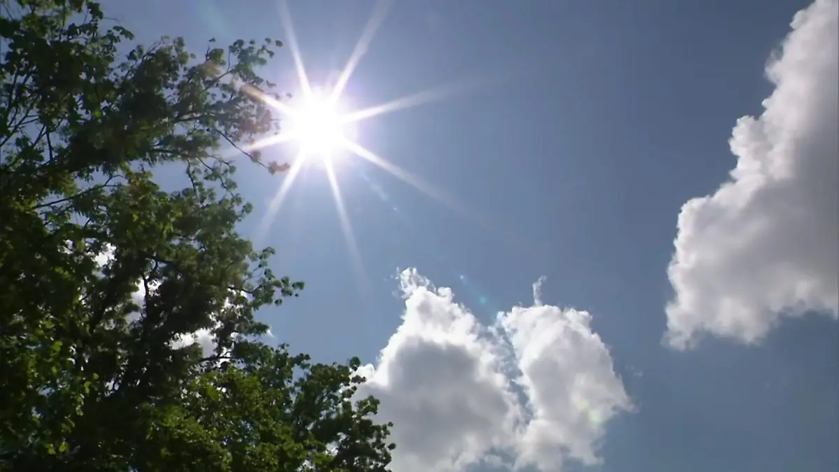 Arbeitsunfähigkeit durch Rückenschmerzen: Ursachen und Auswirkungen