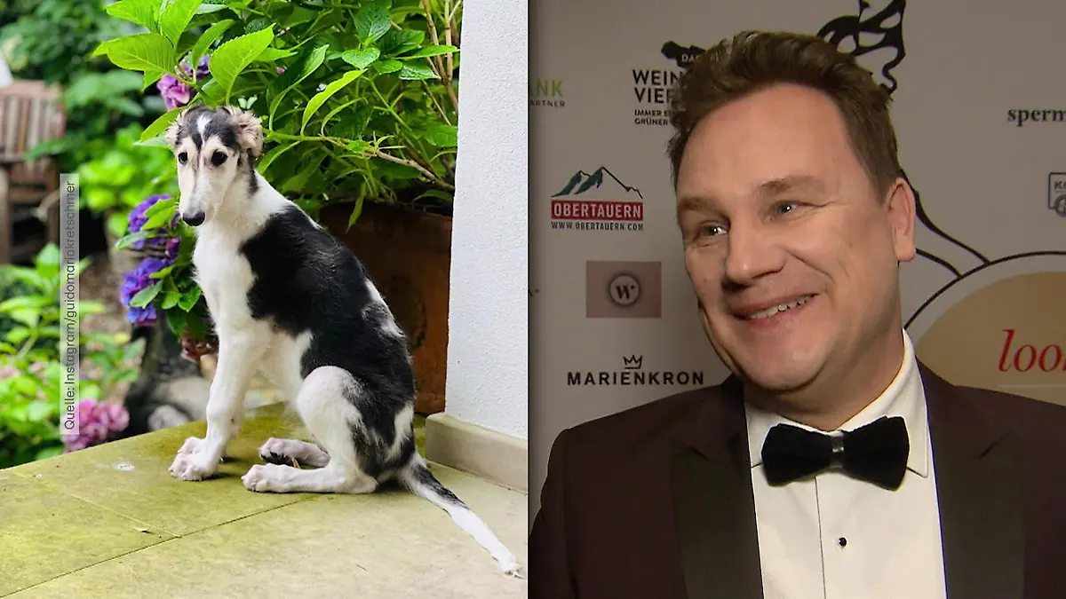 Guido Maria Kretschmer bei „Bares für Rares” – mit diesem besonderen ...