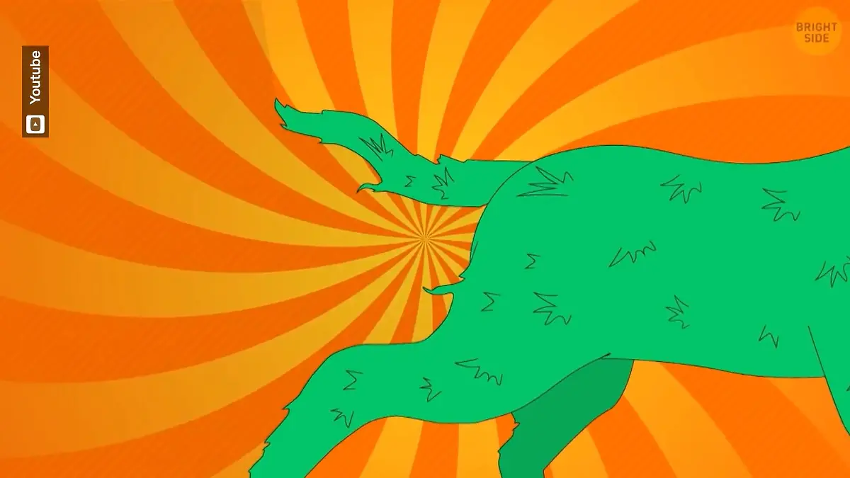 Suchbild zu Ostern: Hier haben sich zehn bemalte Ostereier versteckt ...