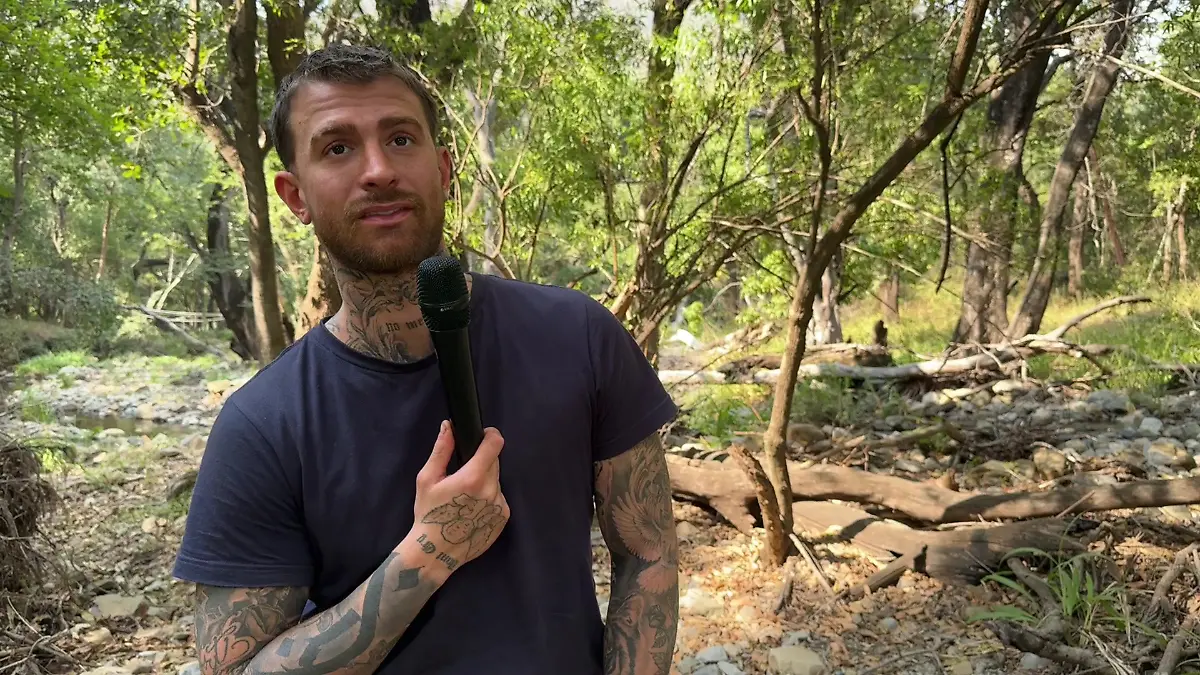 20 Jahre Dschungelcamp in Zahlen: Spannende IBES-Fakten auf einen Blick