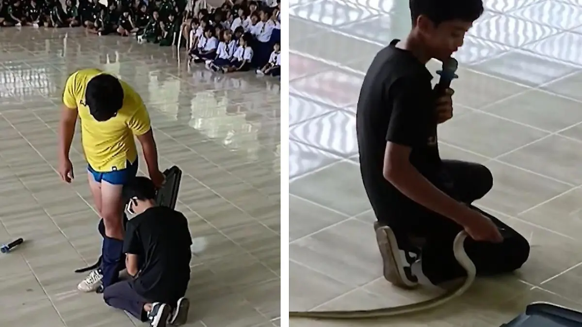 Herr Lehrer, Hose runter! Schlange kriecht in Jeans - während Unterricht