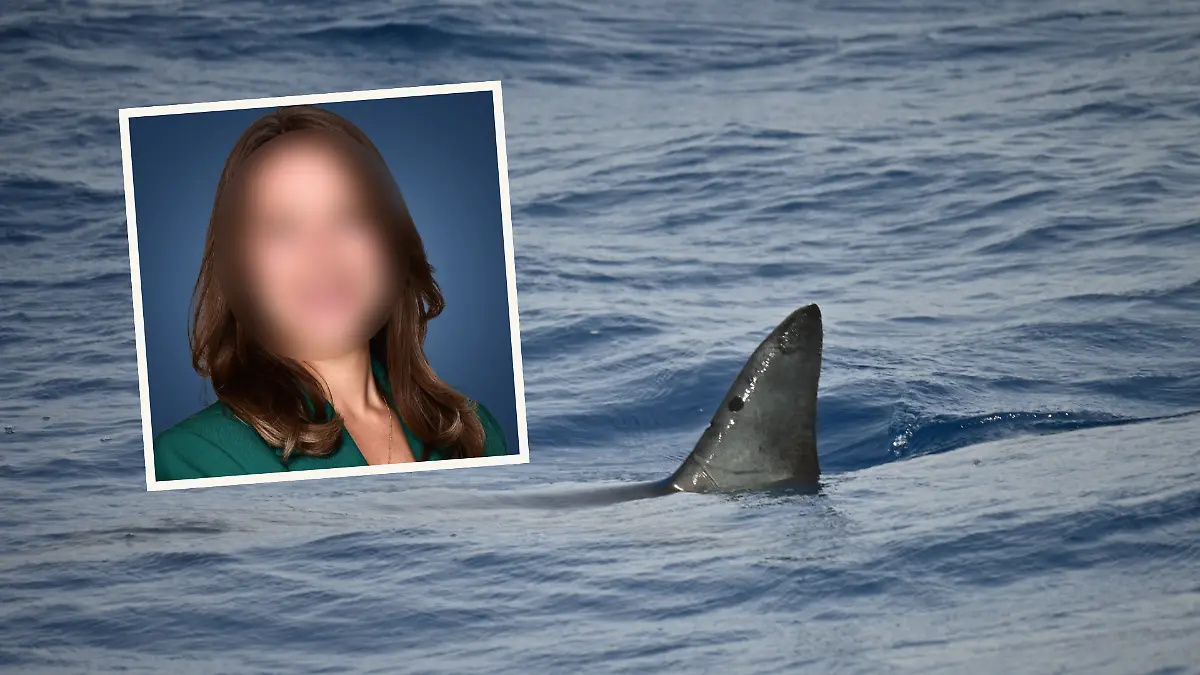 Hai-Angriff endet tödlich: Ohne Elena (†30) nimmt das Schiff nun Kurs Richtung Paradies