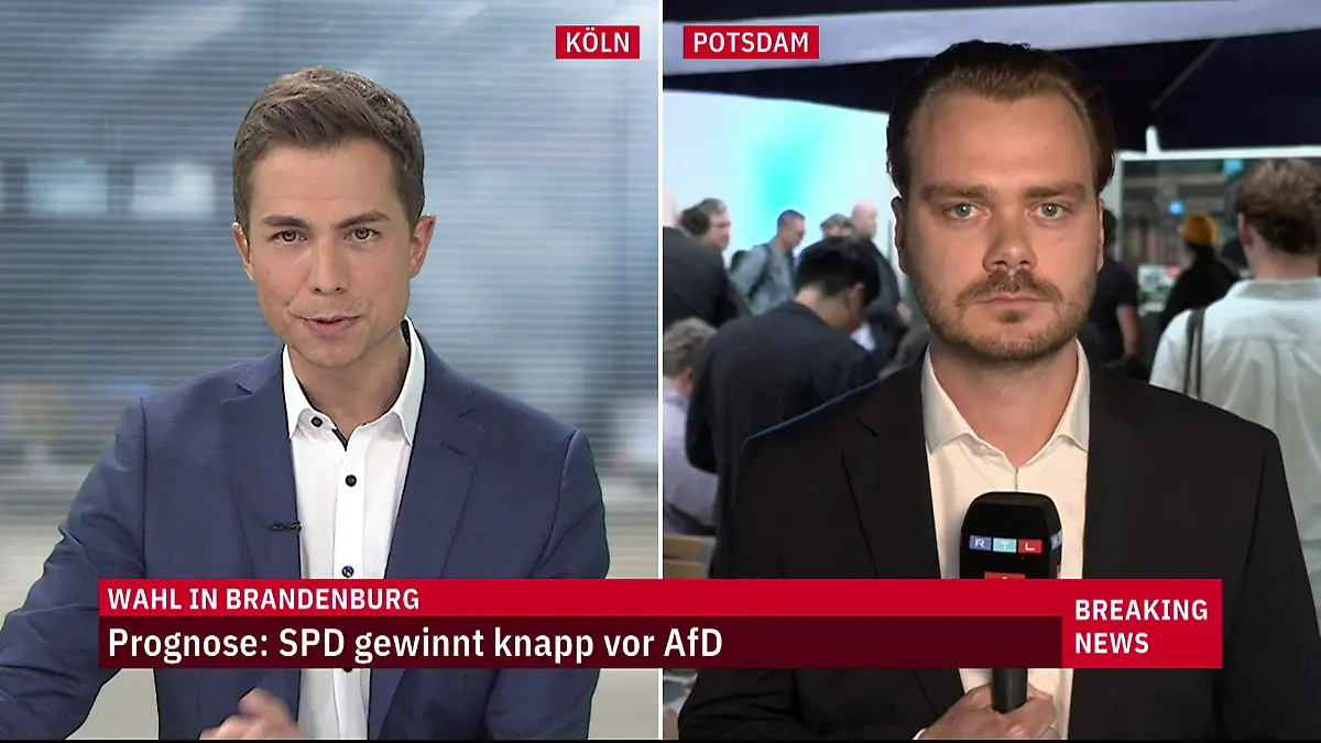 Darf man die AfD als Nazi-Partei bezeichnen?