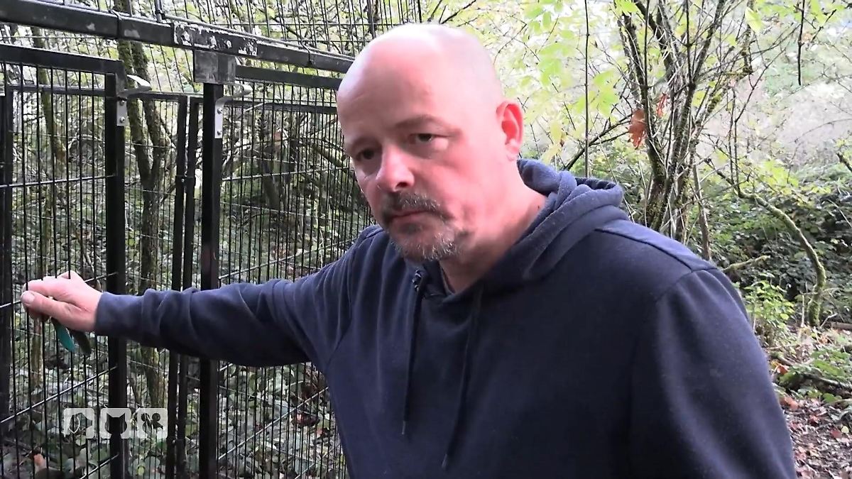 Der Retter der Tiere: Stefan Bröckling setzt auf neuen Plan mit Fangzwinger