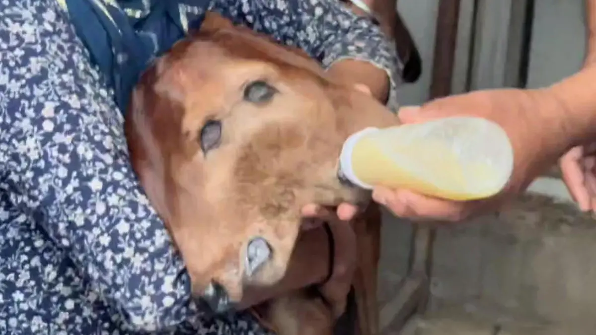 Wurst, Müsliriegel und Co.: Lebensmittel heute ungesünder als vor ...