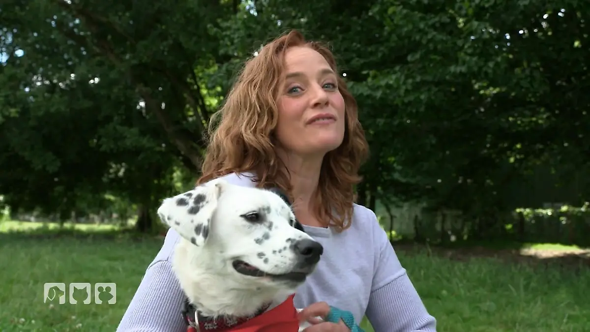 Nach drei Jahren hat Tierschutzhund Philli endlich eine Familie gefunden