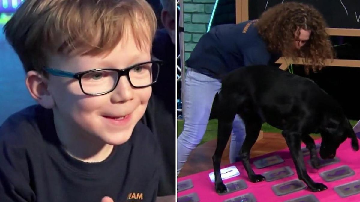 Top Dog Germany: So süß! Assistenzhund Lenny macht sein kleines ...