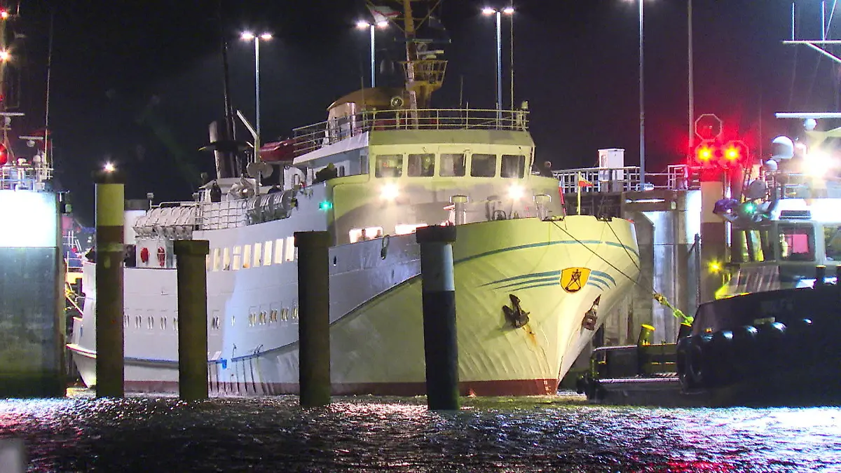 Hai-Alarm auf Menorca - Strand gesperrt