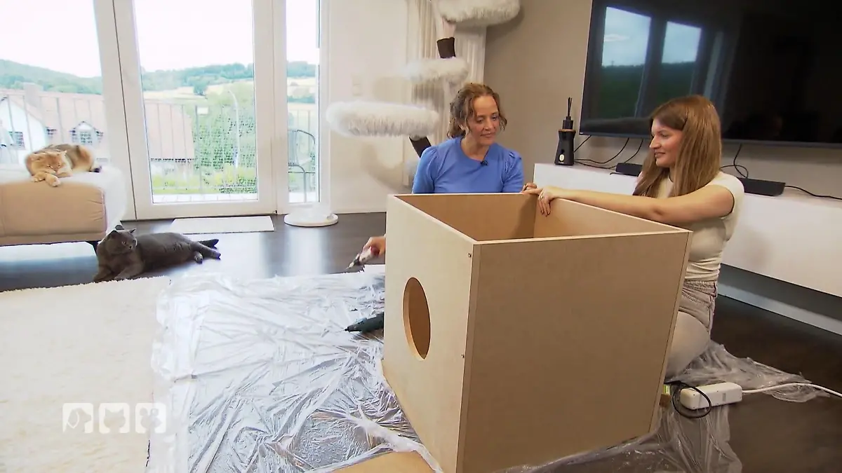 Die Bastel-Challenge: Kate Kitchenham und Sina Pollok bauen Katzenspielhaus