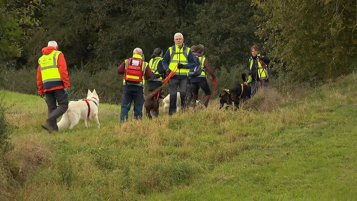 Hundesuchhilfe: „Saving Paws“ – Hunde retten Hunde