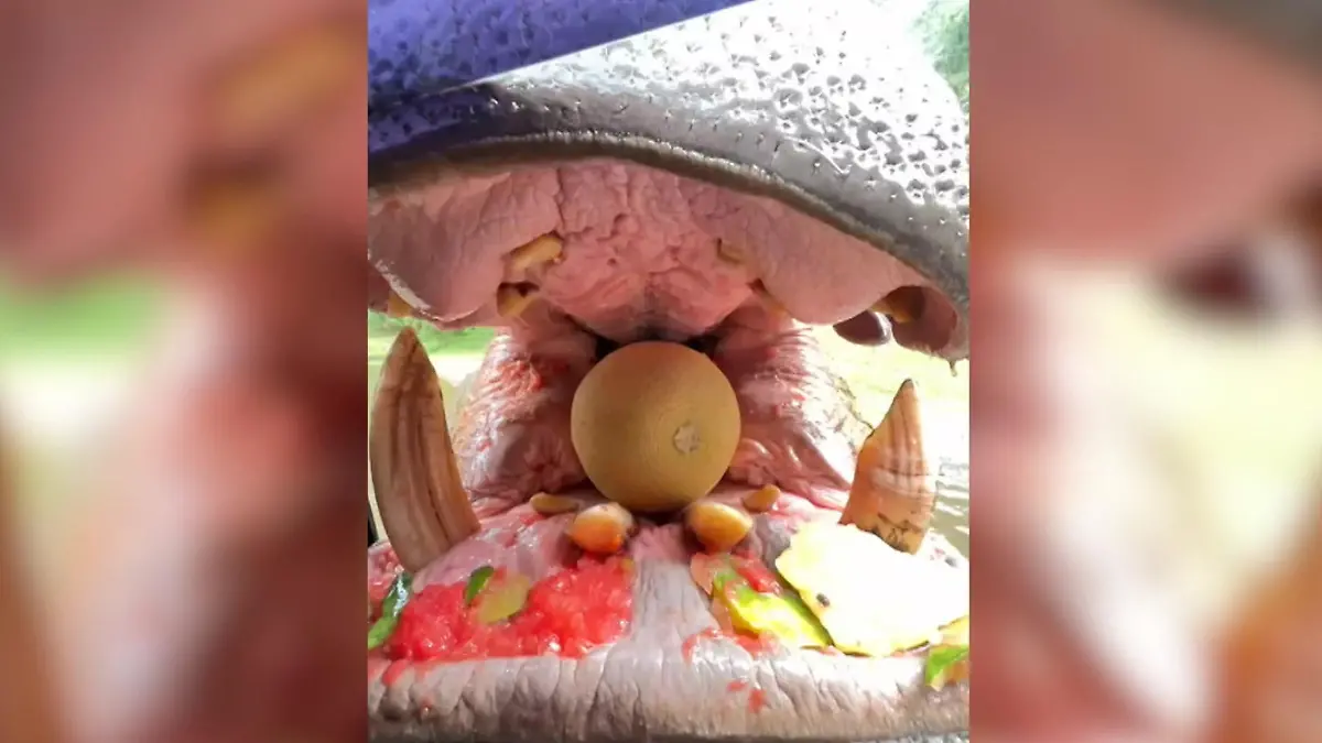 RTL.de: Nachrichten, die bewegen.