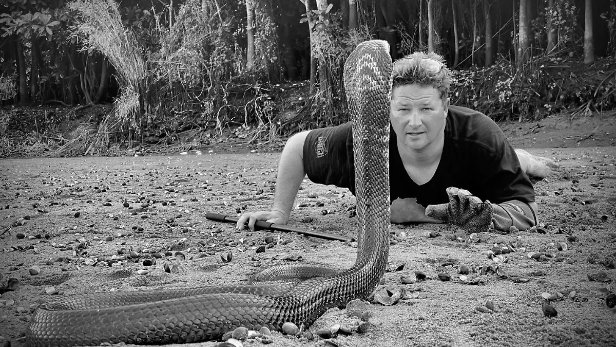 Giftschlange tötet „Südafrikas Steve Irwin” - Trauer um Graham „Dingo ...